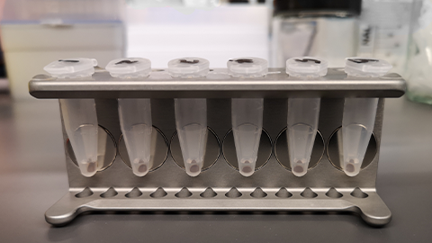 Charles River Introduces New Plasmid Manufacturing Program