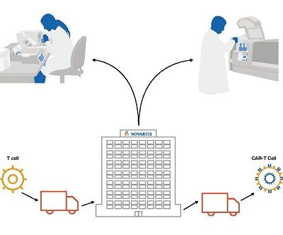 FDA approves Novartis’ CAR-T therapy for leukemia, ushering in the gene ...