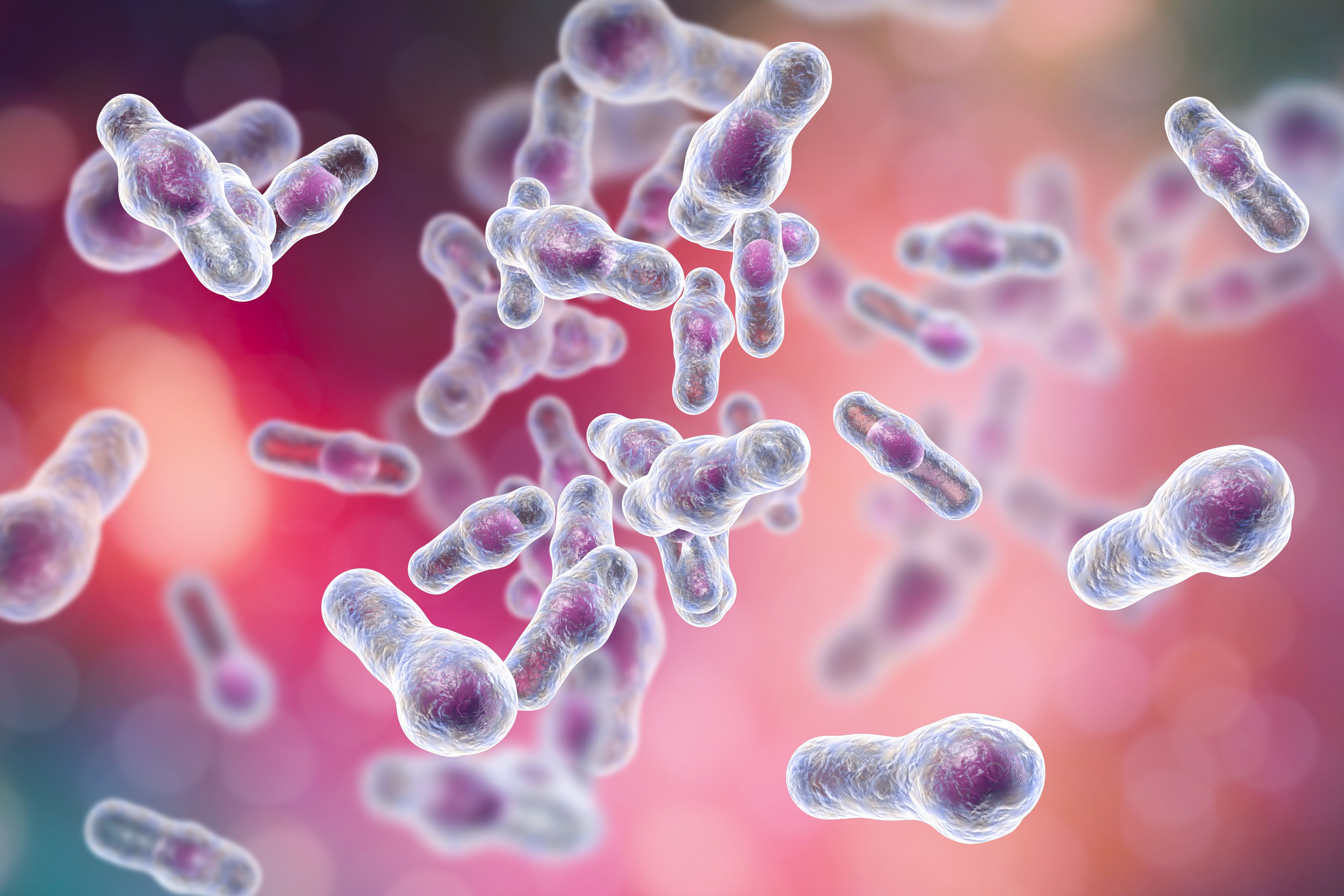 Addressing The Current Burden Of C Diff Infection Recurrent C Diff