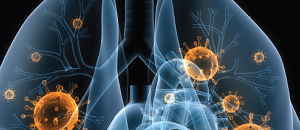 Upper Respiratory Infections: The Lowdown