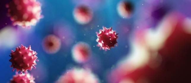 Hepatitis B Virus: Who Is at Risk, and What Can We Do?