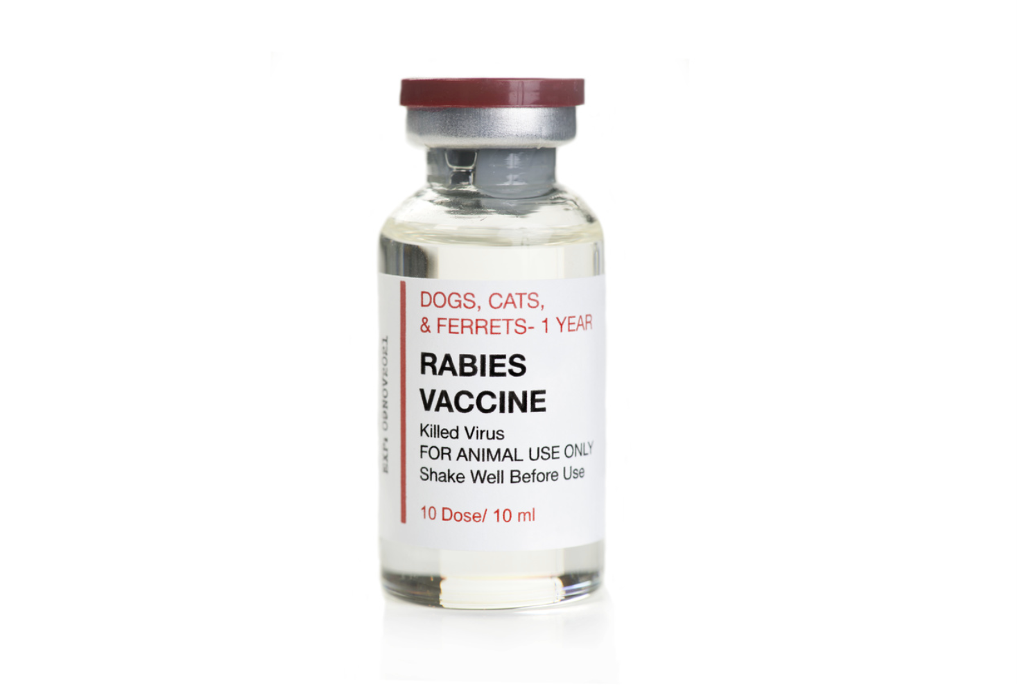 Human Rabies Immunoglobulin Post Exposure Prophylaxis