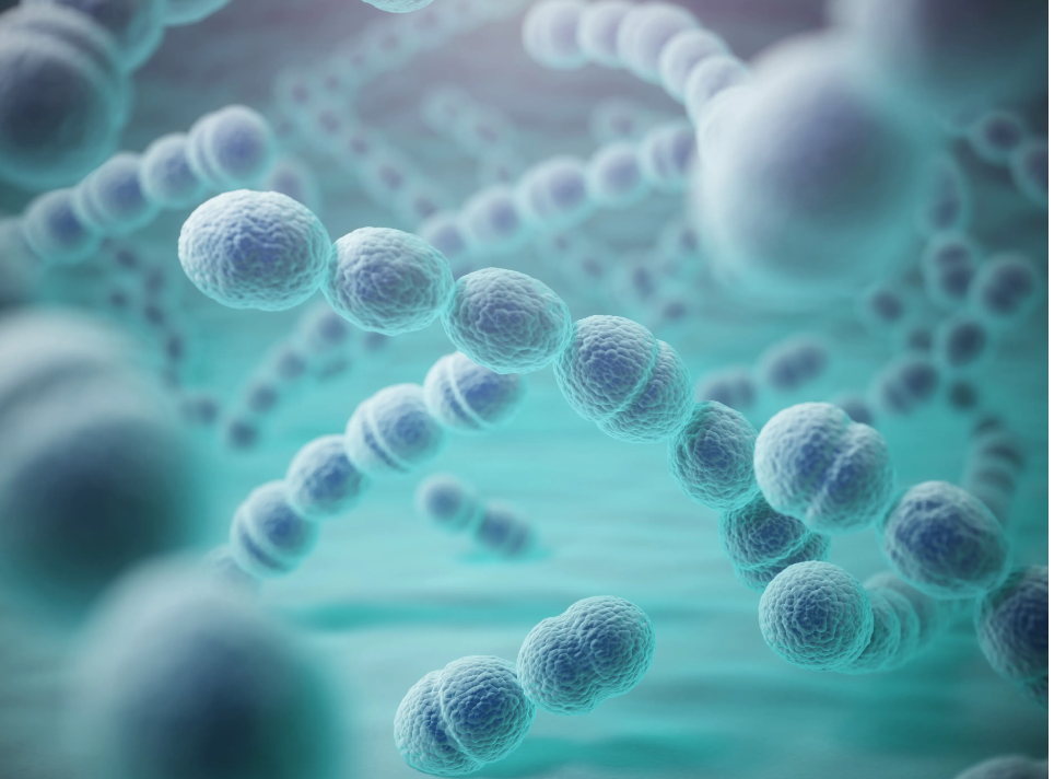 Pneumococcal Vaccination Rates Have Risen in Patients With Rheumatic ...