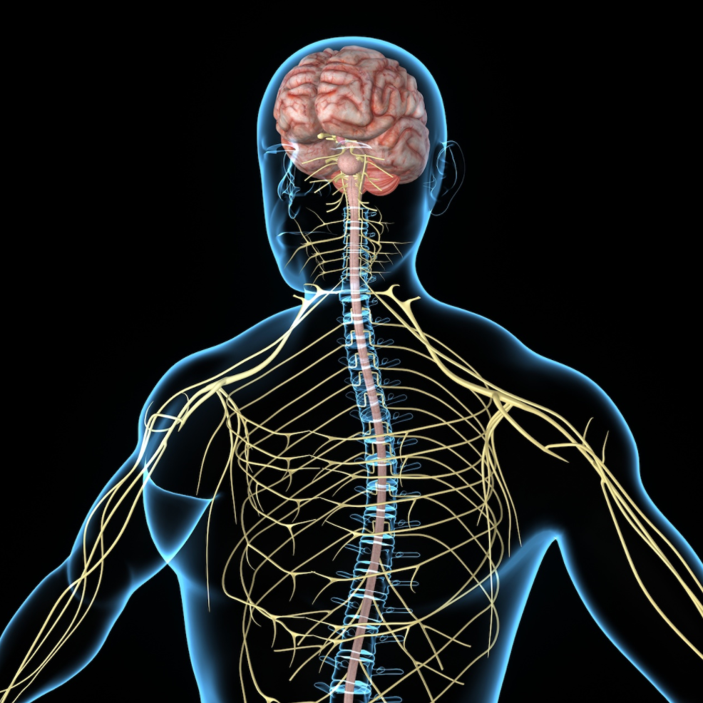 Clinical Overview: Skysona for Early Cerebral Adrenoleukodystrophy