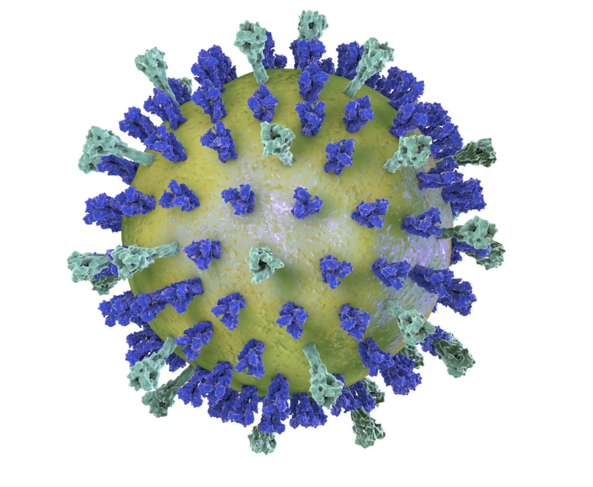 Research Supports Efficacy, Safety of Palivizumab Preventing Lower ...