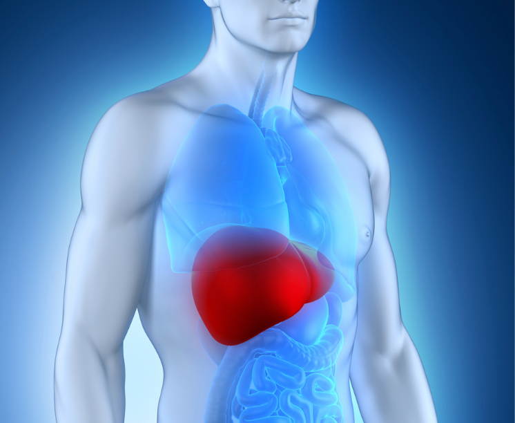 Hepcludex Shows Efficacy Treating Chronic Hepatitis Delta Virus