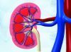FDA Approves Procysbi for Nephropathic Cystinosis