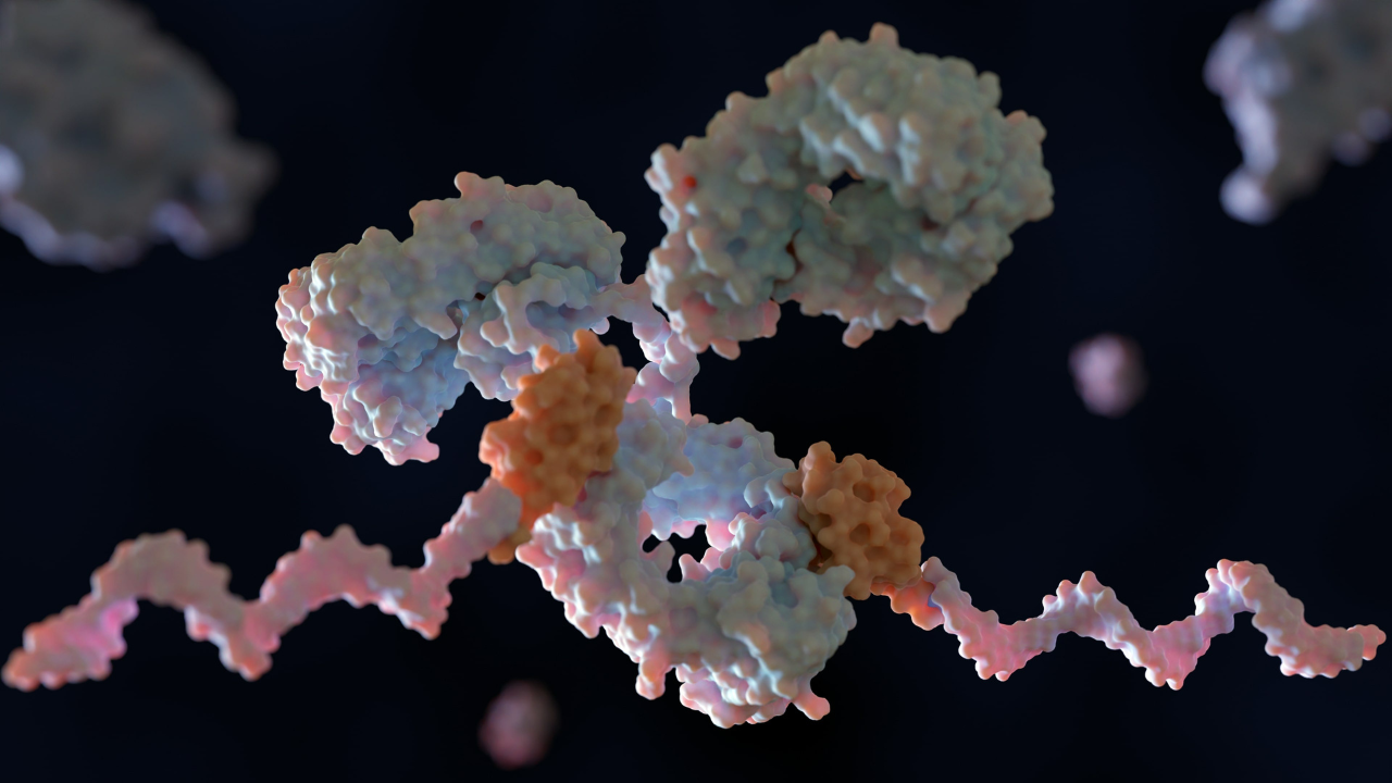 GSK Acquires Elsie Biotechnologies for $50 Million to Elevate ...