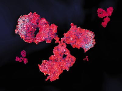 Delivering High-Concentration Protein Formulations | Pharmaceutical ...