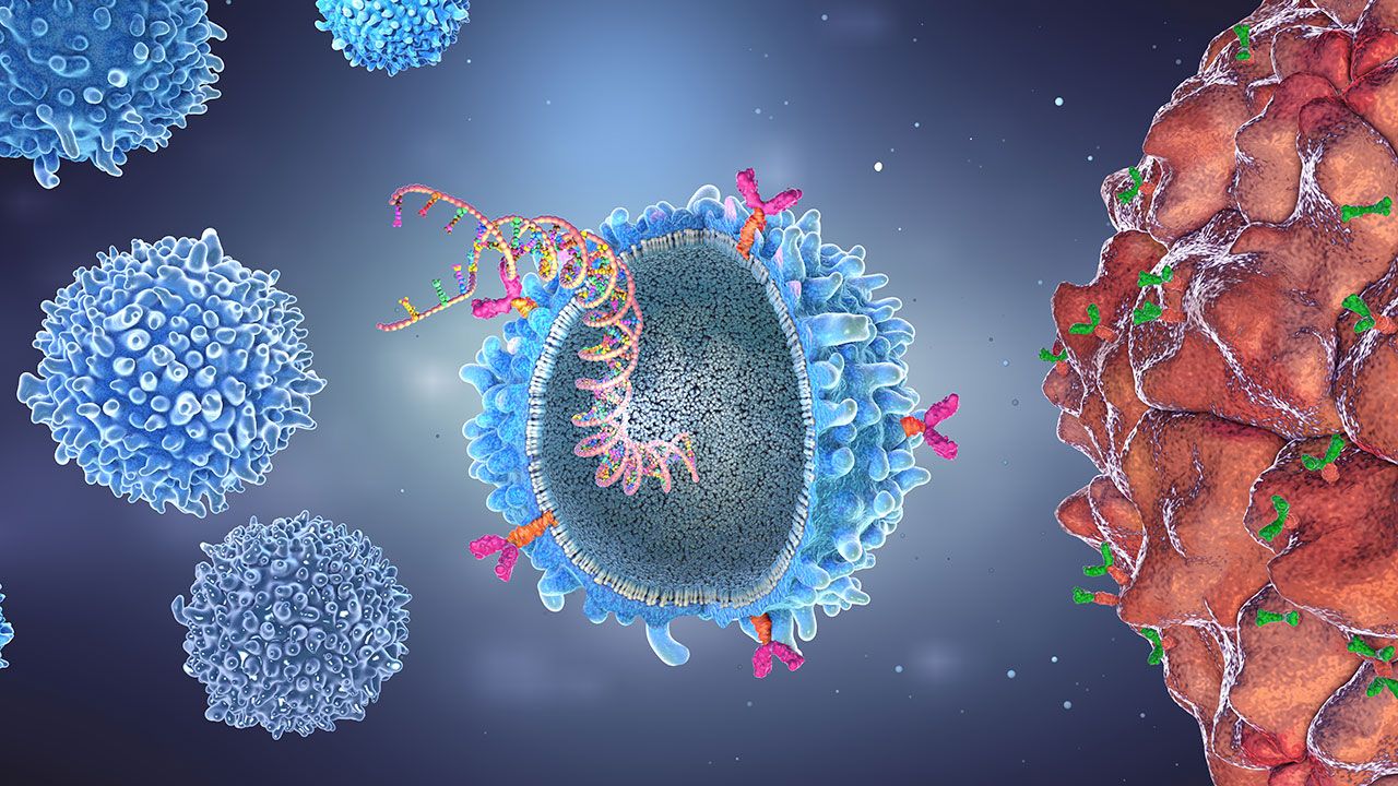 Technology For In Vivo Car T Cell Therapy Advances