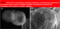 Studies of PLGA Microspheres | Pharmaceutical Technology