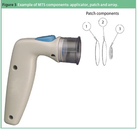 Microstructured transdermal systems for intradermal vaccine and drug ...
