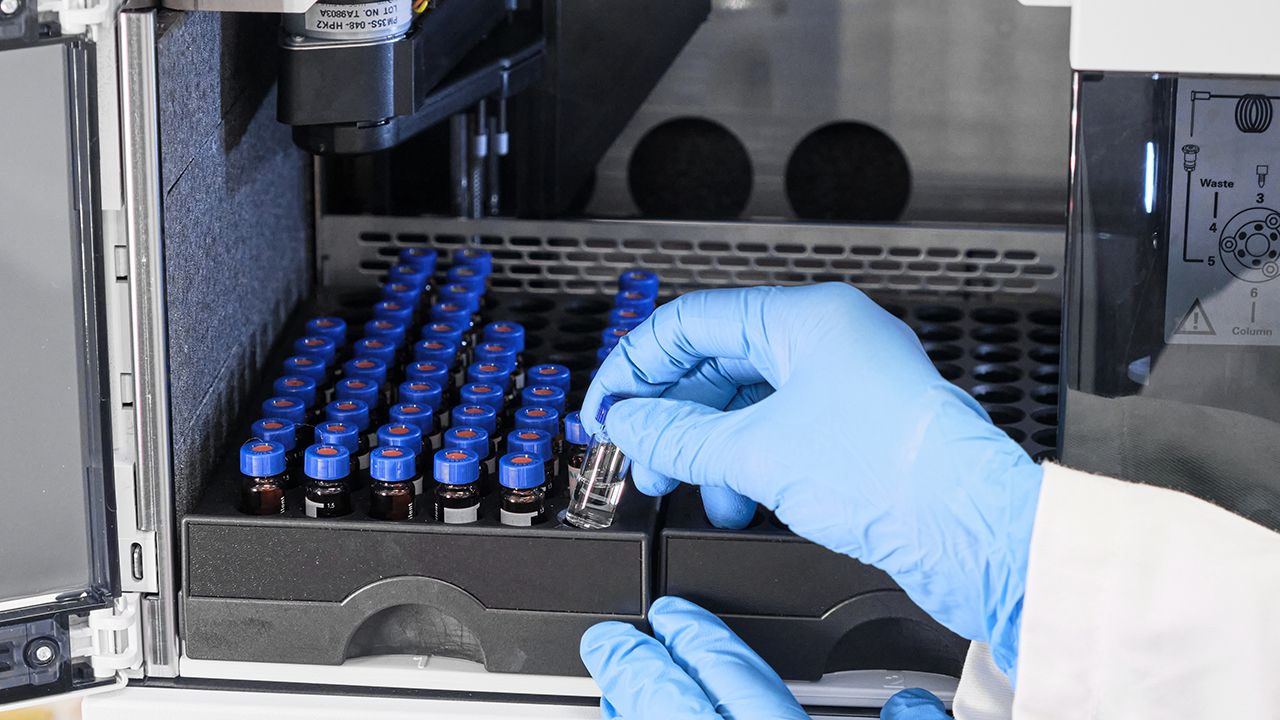 Abiotisk nedbrytning och biologisk nedbrytning|Shaanxi Bloom Tech - Kunskap - Bloom Tech