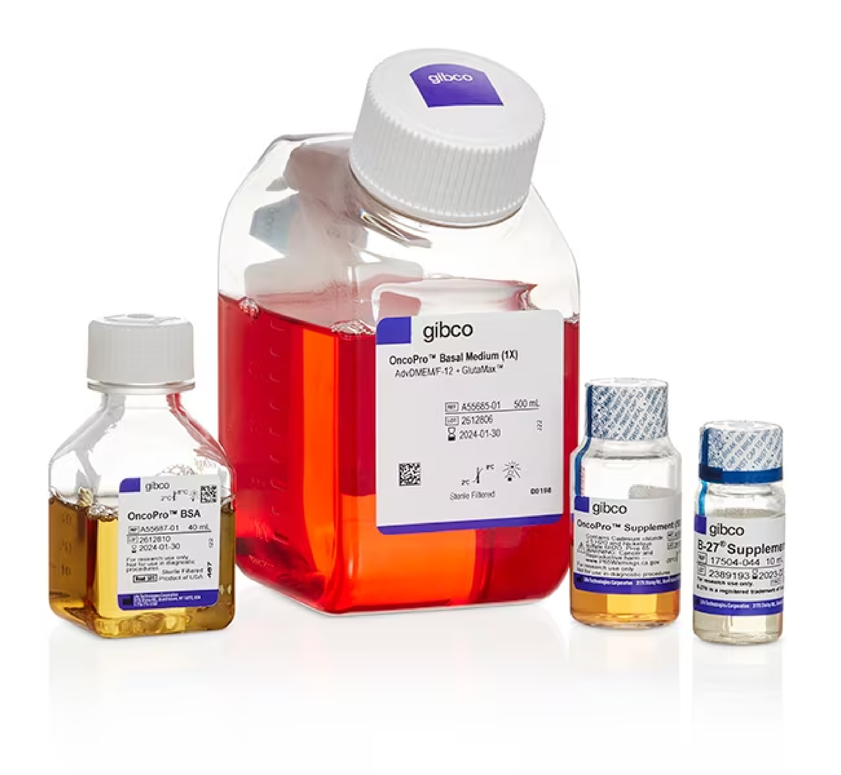 Gibco Its Supplement Big Sales | tratenor.es