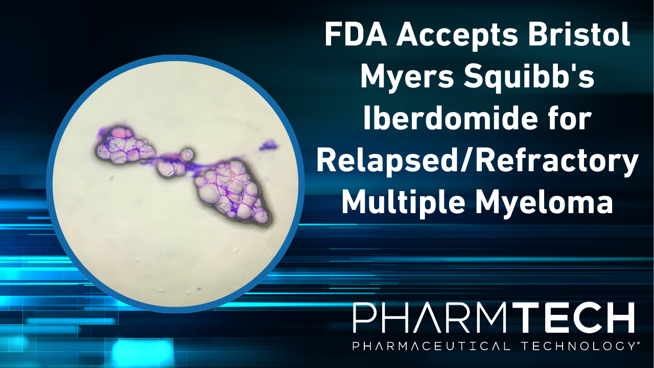 FDA Accepts Bristol Myers Squibb's Iberdomide for Relapsed/Refractory ...