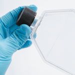 Optimizing Cell-Culture Media