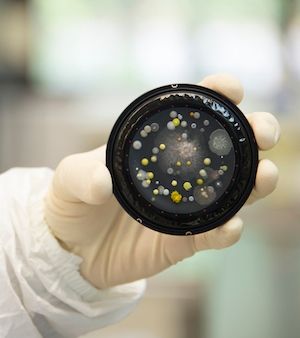 A Study: Comparing the Growth Direct? Environmental Monitoring Cassette ...