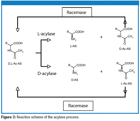 Industrial Applications of Whole-Cell Biocatalysis | Pharmaceutical ...