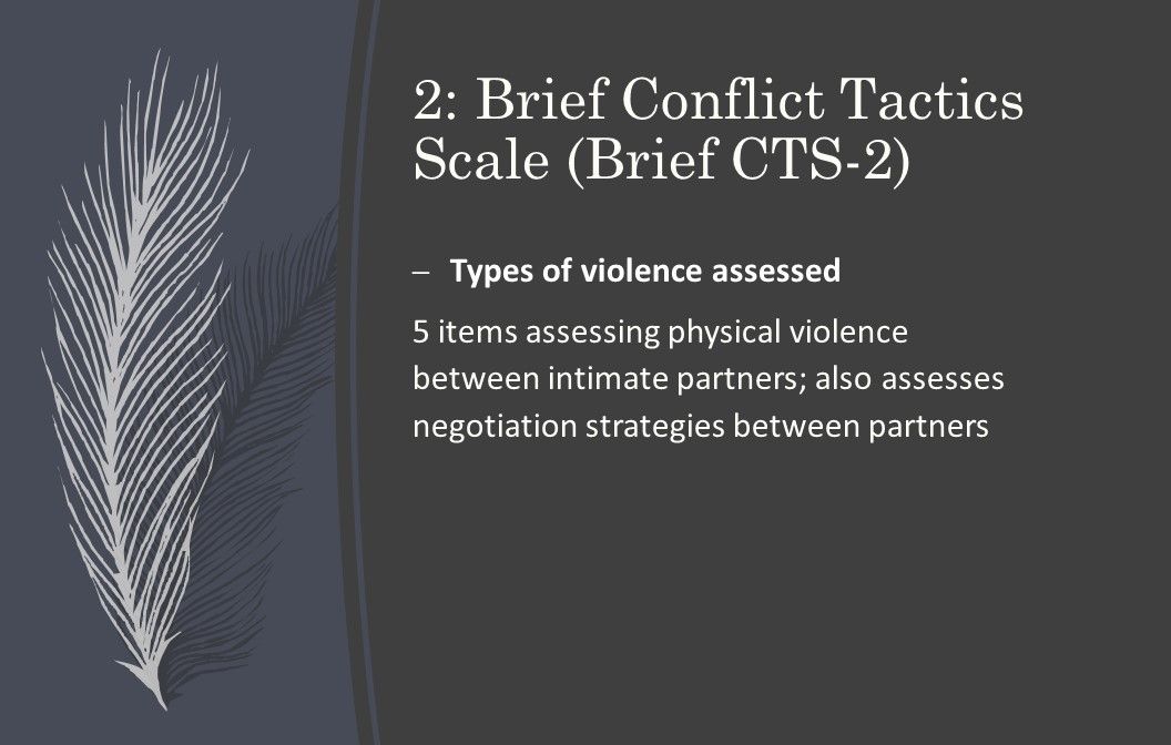 7 Measures for Screening and Assessing IPV