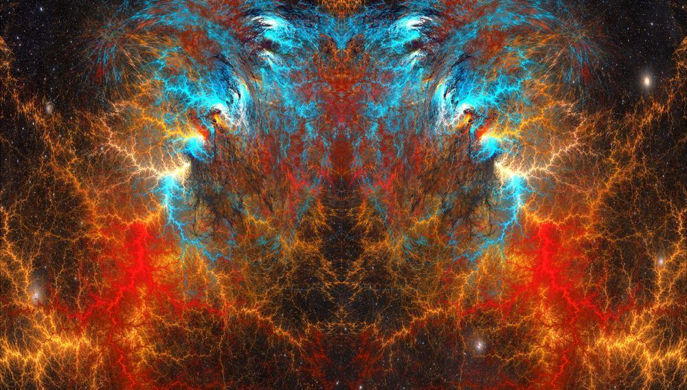 Remodeling the Brain