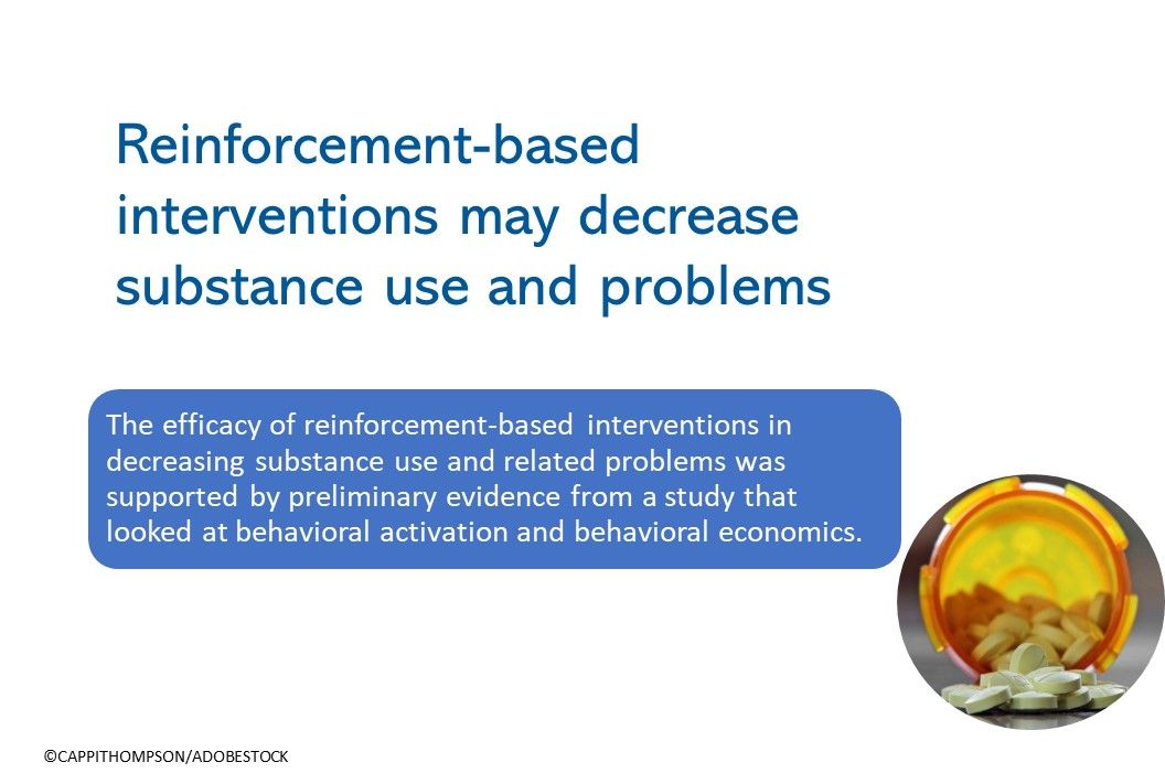 The Legacy of Parental Incarceration, Drug Treatment Interventions, and ...