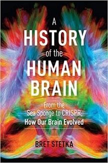 A History of the Human Brain From the Sea Sponge to CRISPR, How Our ...