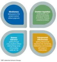 Dialectical Behavior Therapy Skills Training Is Effective Intervention