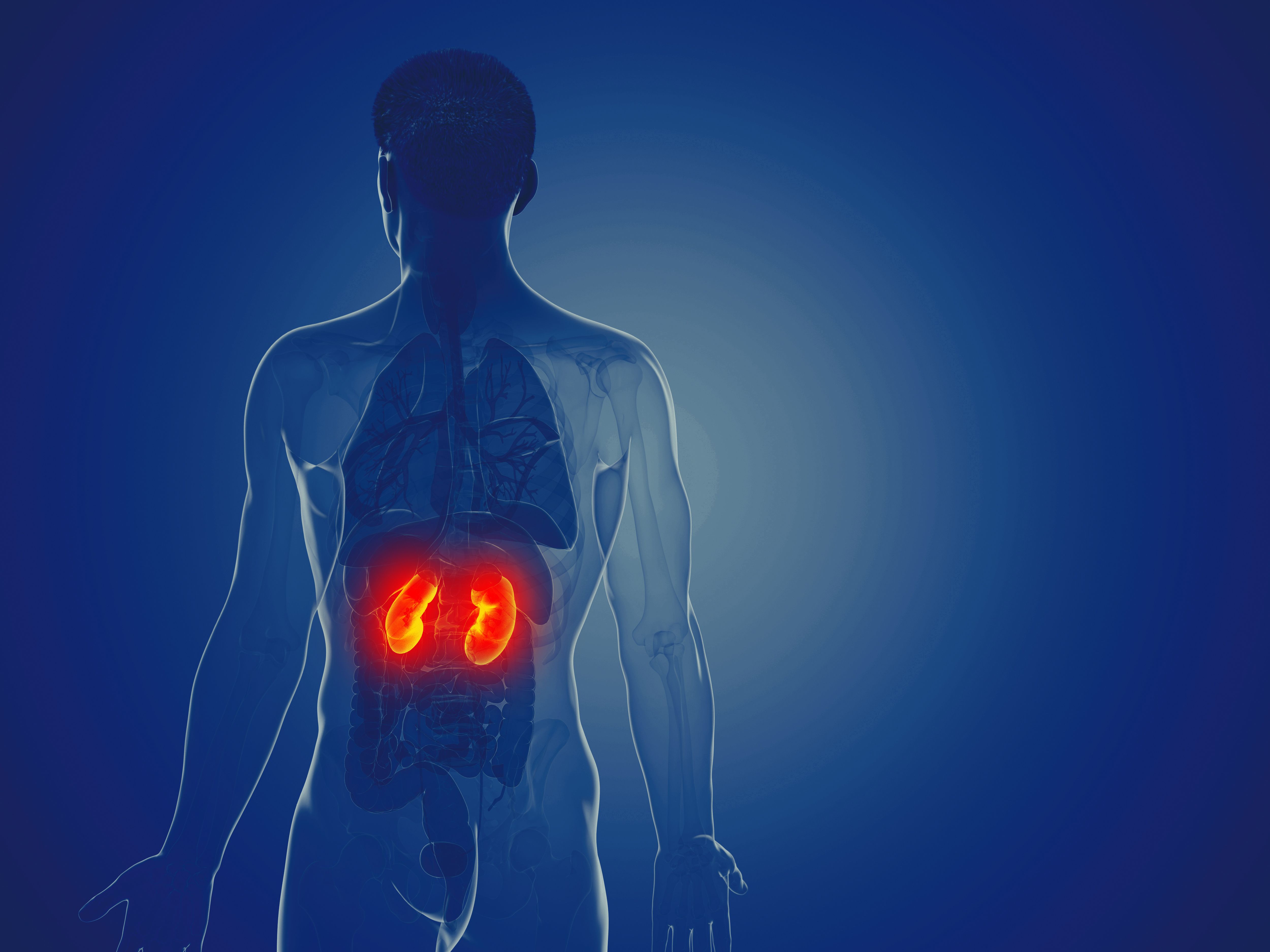 Low-Dose IL-2 May be Effective, Tolerated in SLE | Rheumatology Live