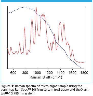 Applications of 1064 nm Dispersive Raman Systems in Biofuel Research