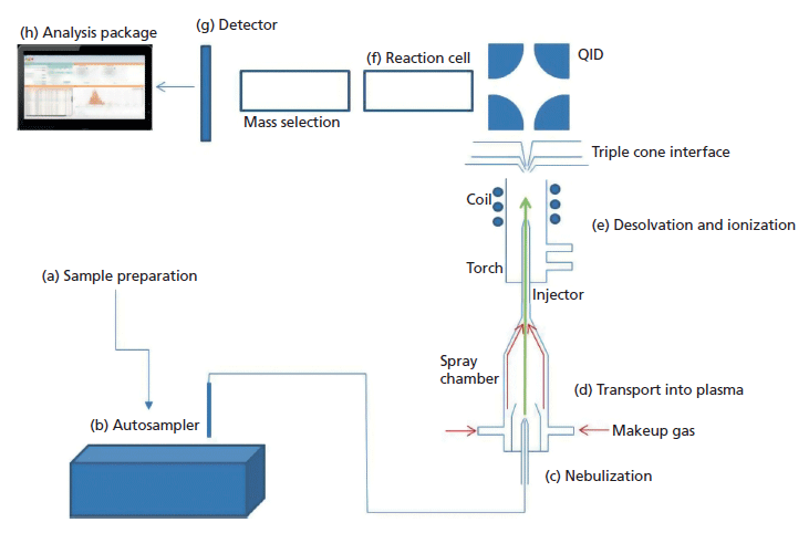 Makeup Gas Icp Ms | Saubhaya Makeup