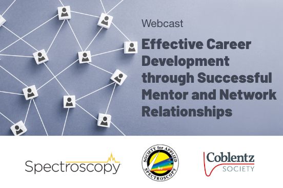 Effective Career Development Through Successful Mentor and Network ...