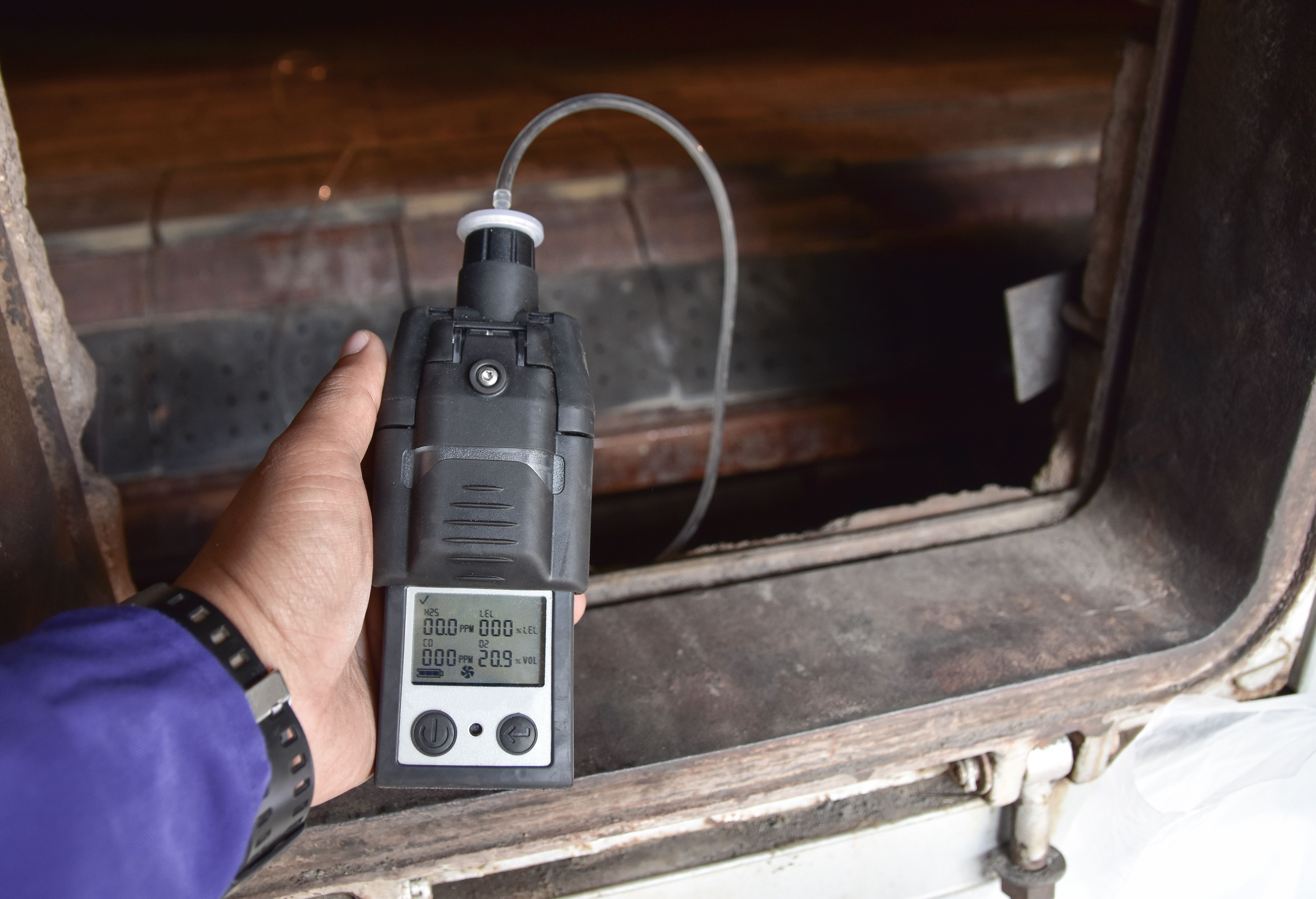 Using In Situ Raman Spectroscopy to Probe Structural Dynamics ...