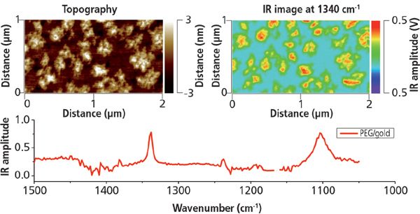 Resonance-Enhanced Nanoscale IR Spectroscopy of Ultrathin Films and ...