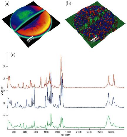True Surface Microscopy