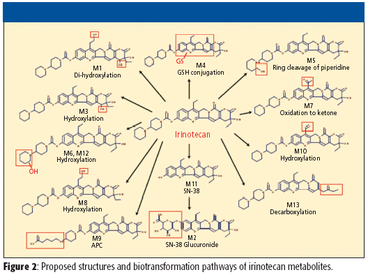 Metabolite Identification Using Multiple Mass Defect Filters and Higher ...