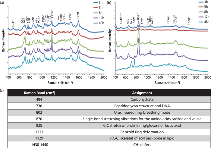 Surface-Enhanced Raman Scattering for Biofilm Characterization