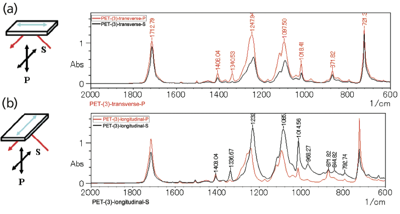 Polarization Measurement of Film Using Single-Reflection FT-IR–ATR