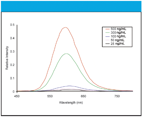 DNA and Protein Concentration Measurements Using Fluorescence Analysis