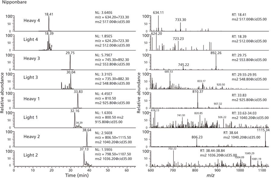 A Novel Approach to Measure Crop Plant Protein Expression
