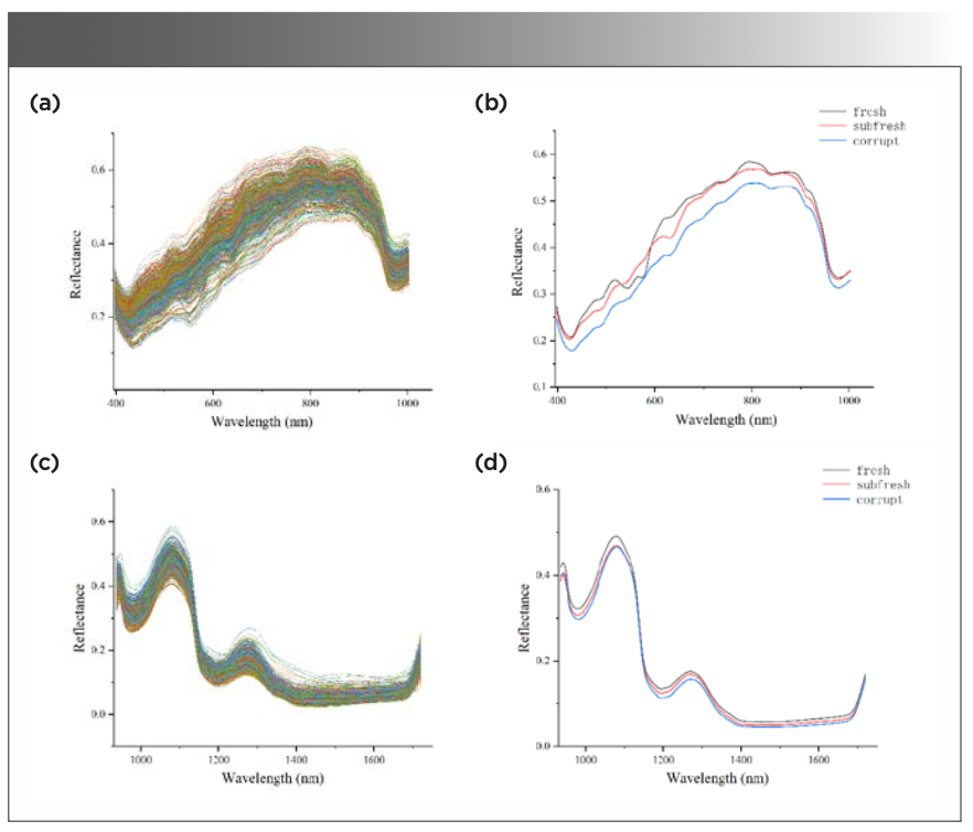 Detecting Chicken Freshness Utilizing VNIR, SWIR Spectroscopy, and Data ... Detecting Chicken Freshness Utilizing VNIR, SWIR Spectroscopy, and Data ...