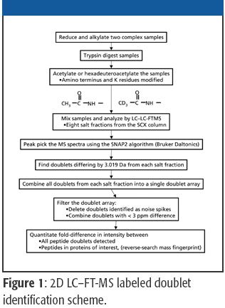 Key LC–MS Techniques Benefit Life Sciences Researchers