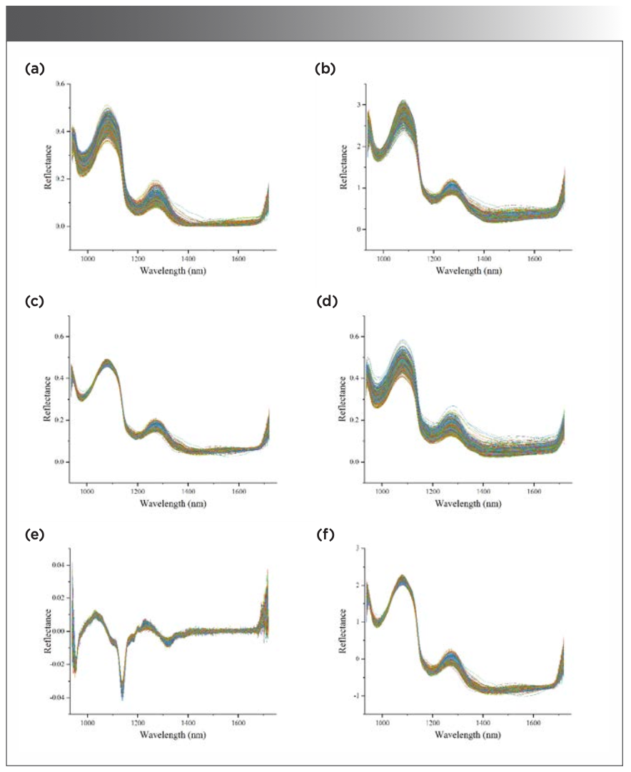 Detecting Chicken Freshness Utilizing VNIR, SWIR Spectroscopy, and Data ... Detecting Chicken Freshness Utilizing VNIR, SWIR Spectroscopy, and Data ...
