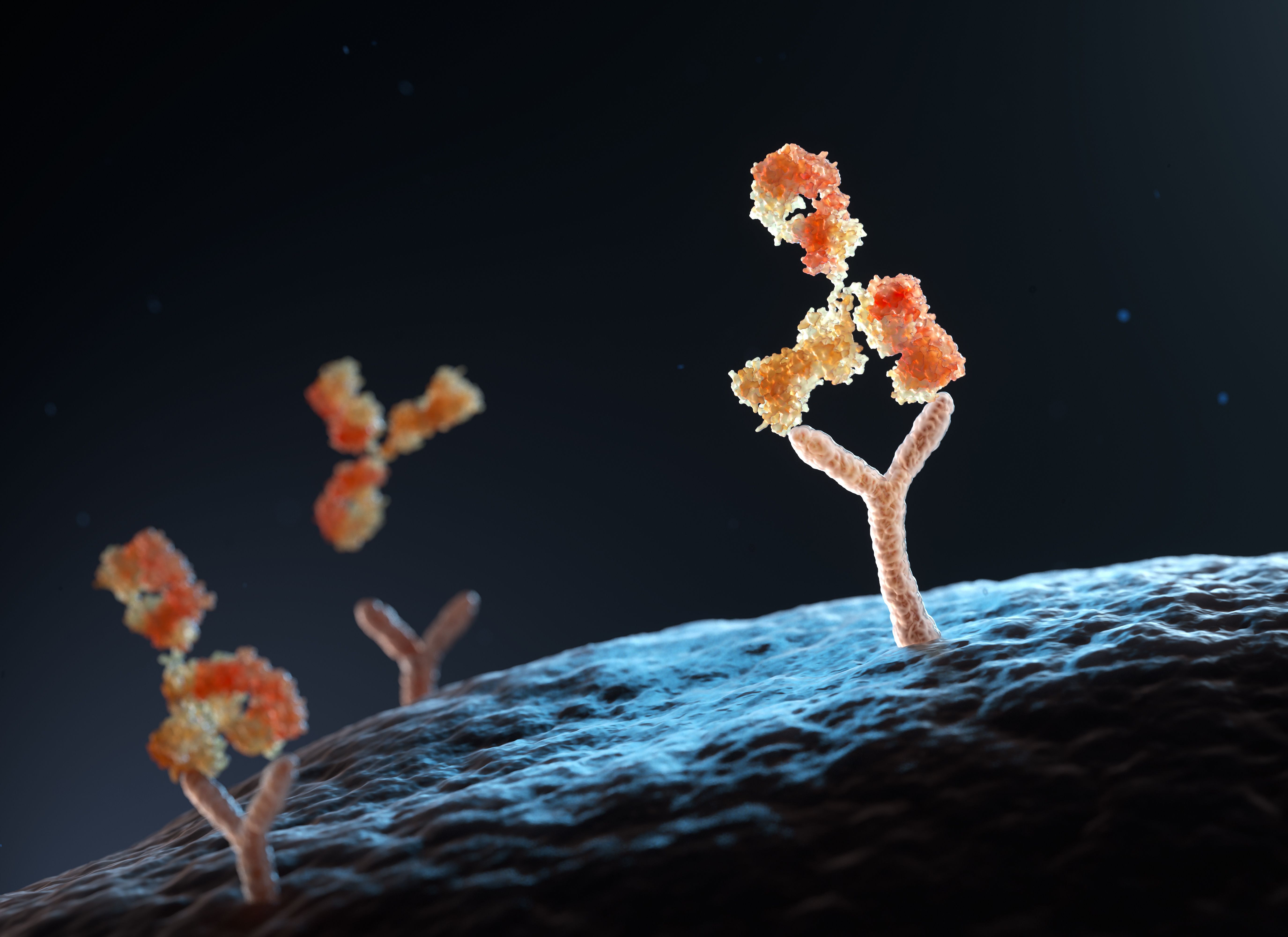 Using Thermostable Raman Interaction Profiling (TRIP) For Protein ...