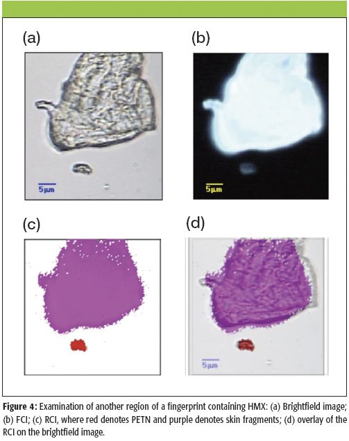 Raman Chemical Imaging of Explosive Contaminated Fingerprints for ...