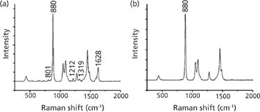 Rapid Quantitative Analysis of Puerarin Using Raman Spectroscopy