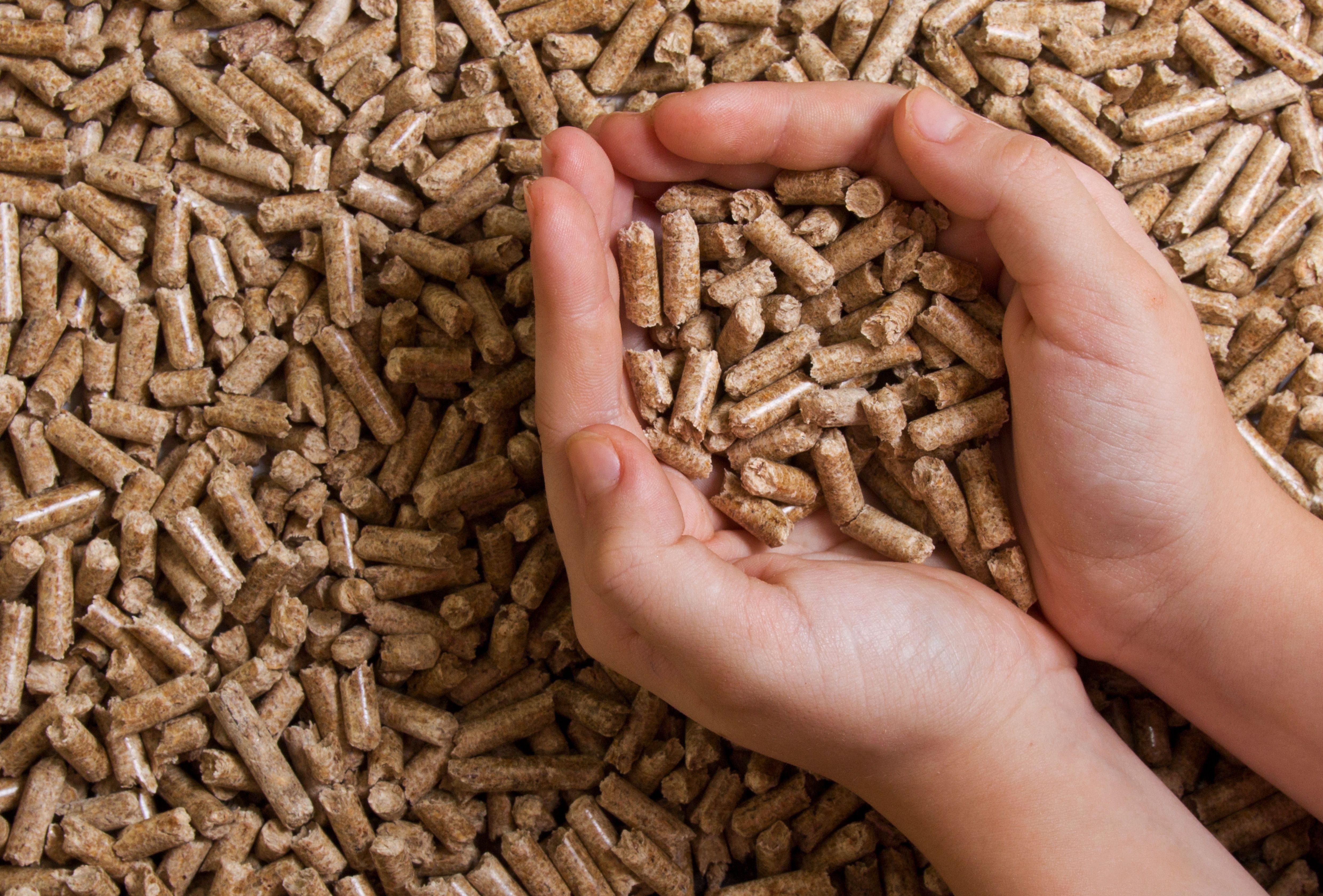 Lignocellulose Determination and Categorization Analysis for Biofuel ...