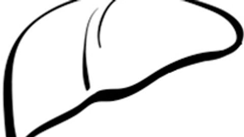 OPTIMA Trial Will Continue to Follow Patients With HCC Treated With ...