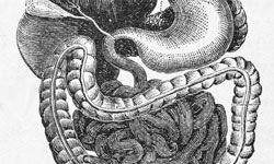 Demcizumab Receives Orphan Drug Designation for Pancreatic Cancer ...