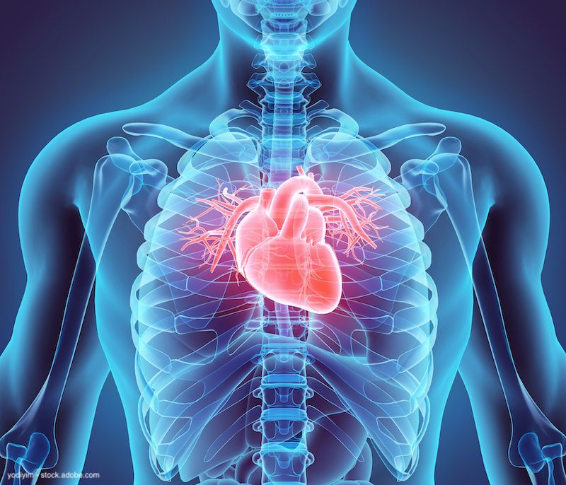 Prostate cancer and CV risk: The heart of the matter