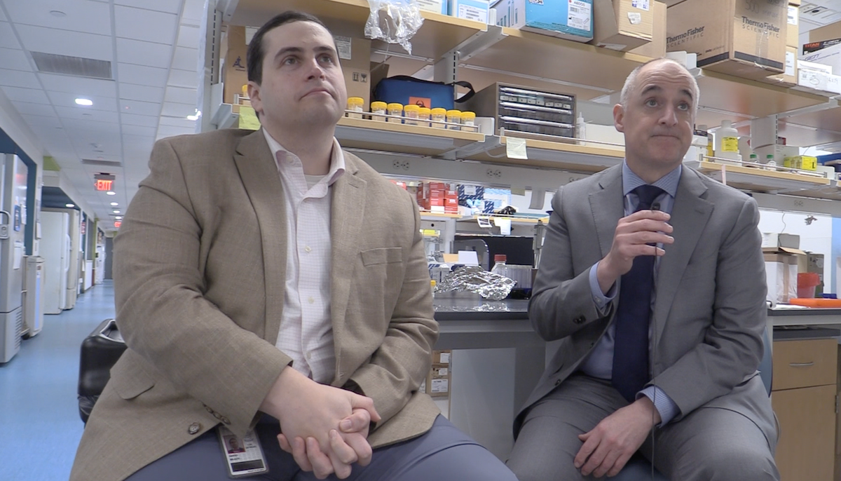 Dr. Braun and Dr. Kenney on unmet needs in kidney cancer | Urology Times
